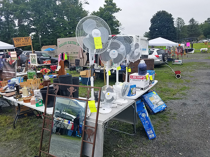 Beat the heat, vintage-style! These fans might have cooled living rooms during the Nixon administration, but they're still spinning strong.