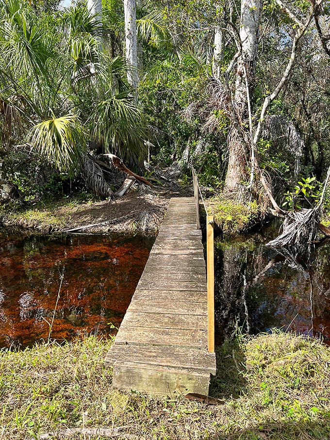 Some bridges take you from point A to B. This one transports you from ordinary life to a world where time moves at the speed of cypress growth.