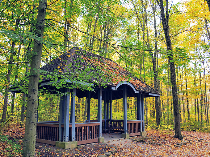 Shelter for daydreamers and rain-dodgers alike. This woodland gazebo offers the perfect blend of civilization and wilderness for your moment of zen.