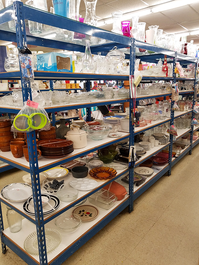 Glassware galore! From vintage Pyrex to crystal vases, these shelves hold the ghosts of dinner parties past and brunches yet to come.