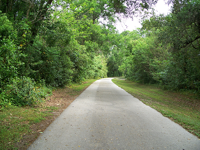 Nature reclaims its space along the Hardy Trail, where dappled sunlight creates a green tunnel perfect for morning walks and midday escapes from antiquing marathons.