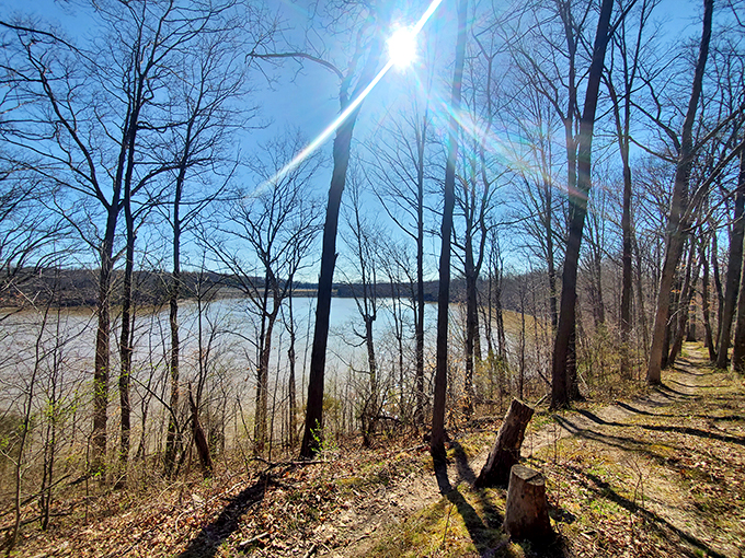 Winter's bare branches frame the lake like nature's own picture window. Even in the off-season, Caesar Creek's beauty refuses to hibernate.