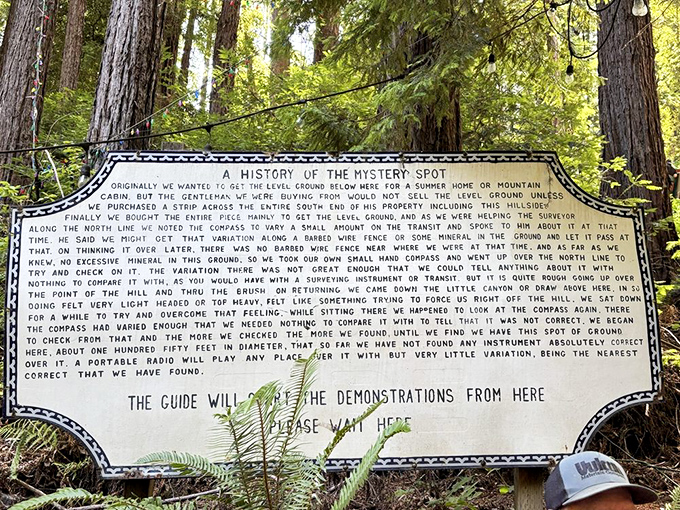 The history board tells the tale of compasses gone wild and surveyors scratching their heads – origin stories are always better with a dash of wonder.