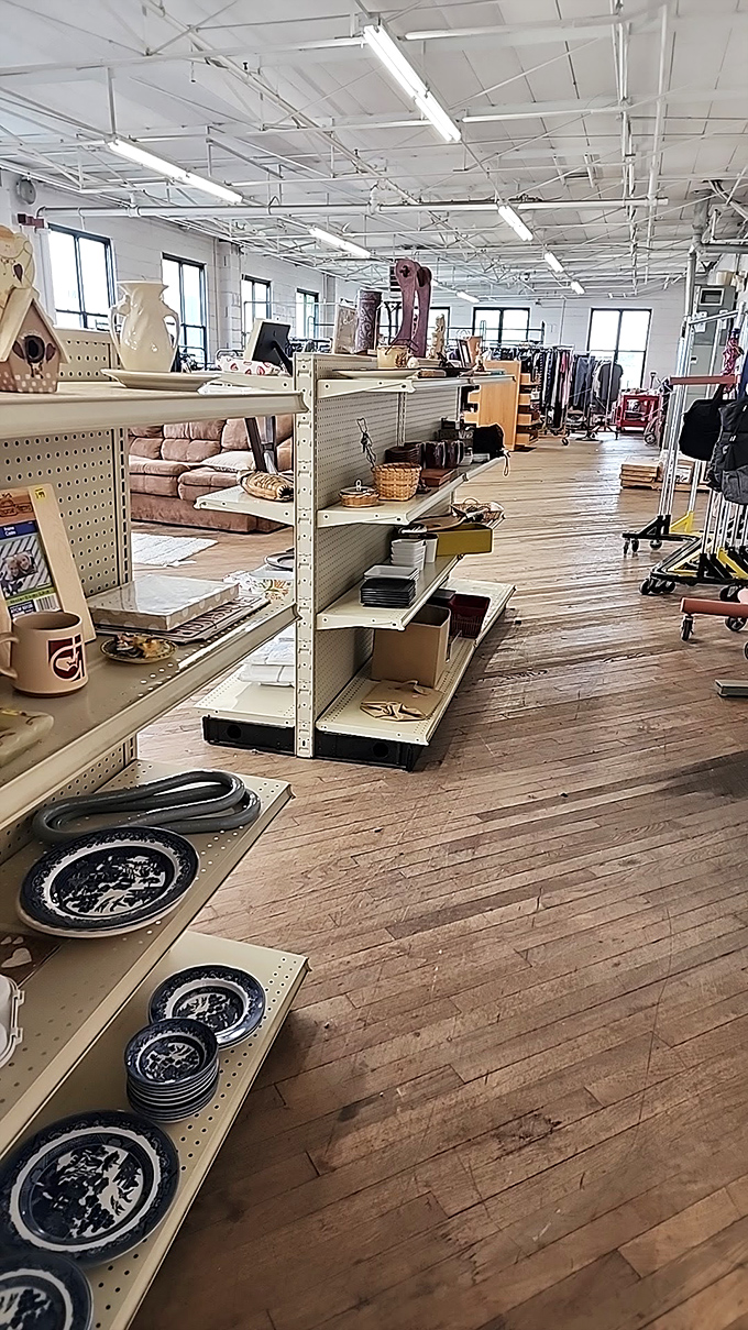 Blue willow plates and everyday treasures line these shelves like an affordable museum of domestic life. Someone's past becomes your table's future.