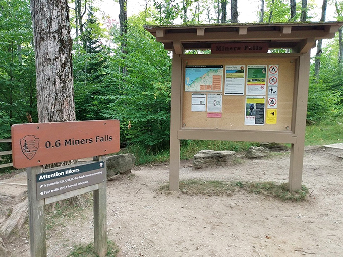 Trail markers and information boards: the unsung heroes that prevent your "quick hike" from becoming an unplanned overnight wilderness adventure.