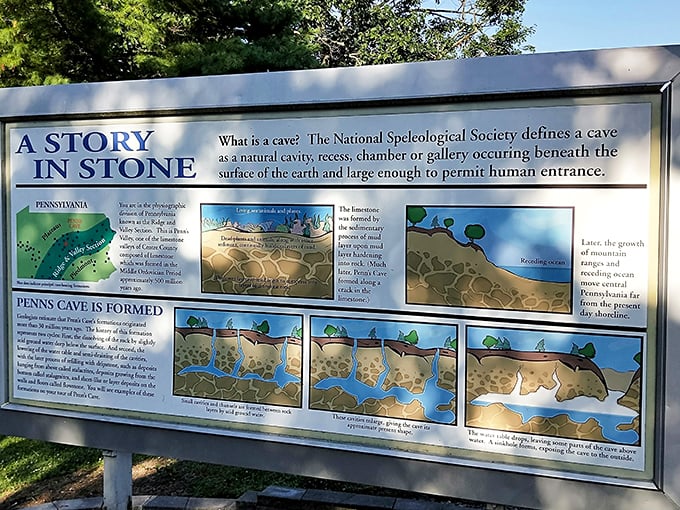 Science meets storytelling on this informational display. Geology has never looked so interesting&mdash;or made you feel quite so young by comparison.