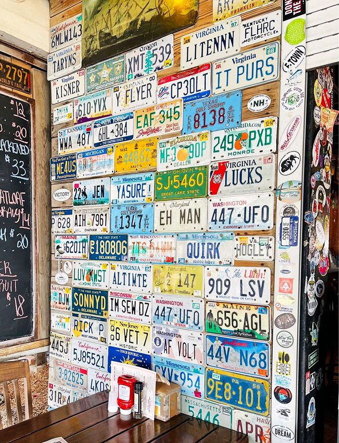 The license plate wall isn't just decoration&mdash;it's a road trip history lesson showing how far people will travel for a proper Hogfish sandwich.