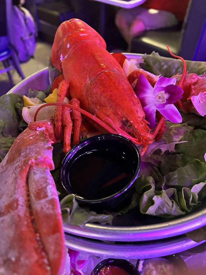 A lobster so magnificent it deserves its own zip code. That vibrant purple lighting sets the mood for a crustacean feast fit for royalty.