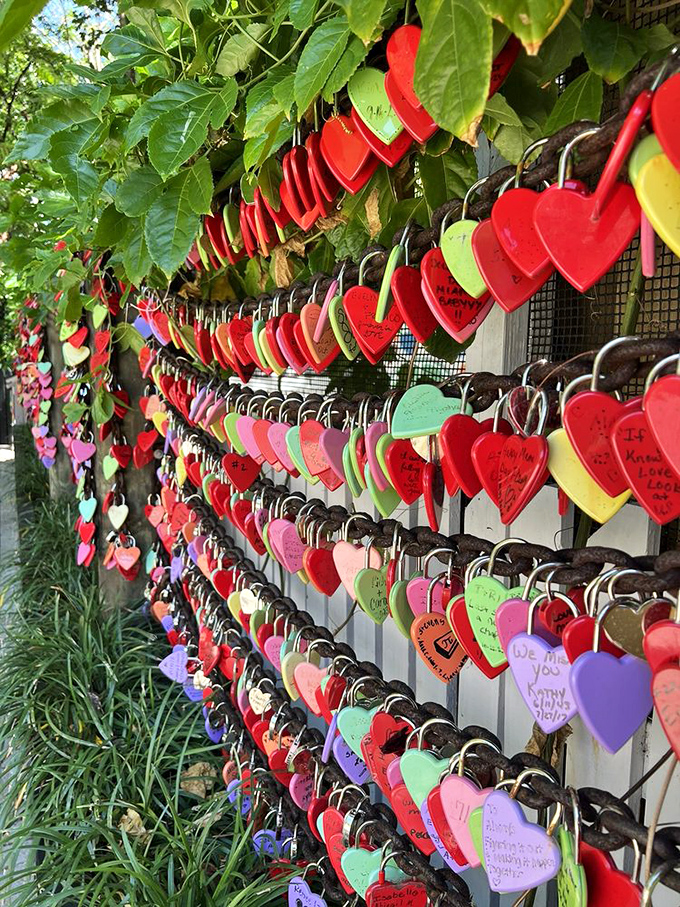 Love is in the air &ndash; and on the fence! Visitors leave colorful locks as testament to their affection for each other and this special slice of Florida.