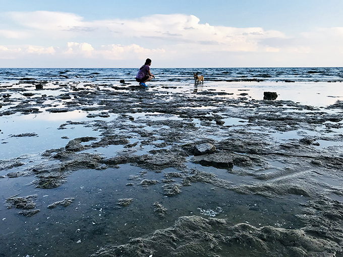 Low tide reveals Lake Erie's secrets &ndash; a temporary landscape of puddles and stones where explorers of all ages discover tiny universes.