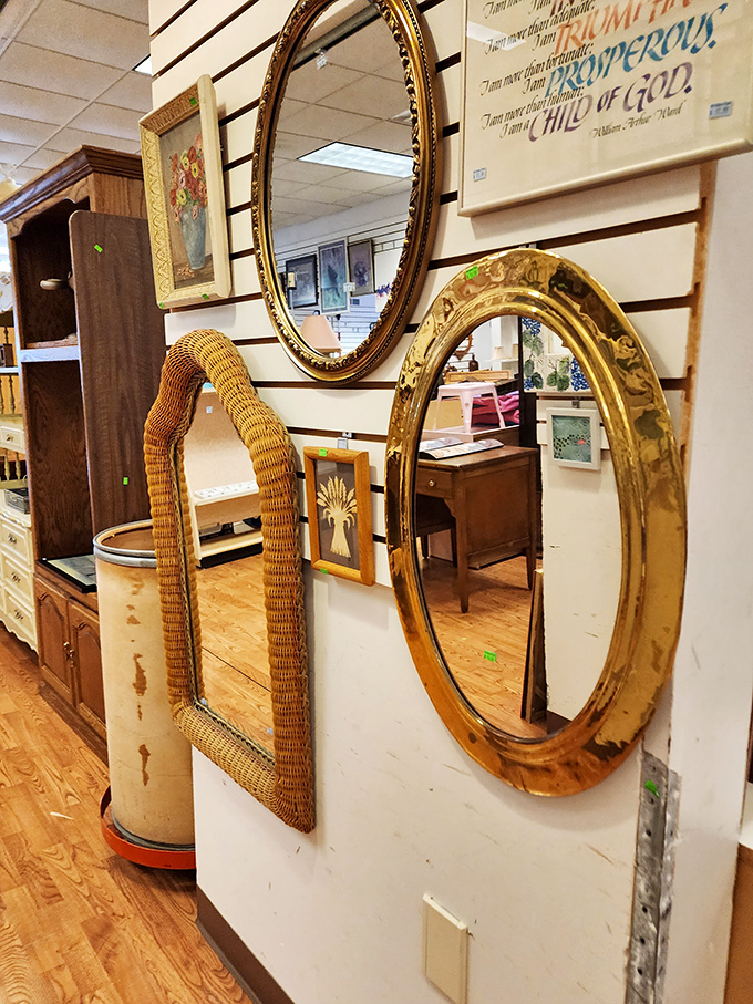 Mirror, mirror on the wall, who's the thriftiest of them all? Elegant frames await to reflect your budget-savvy decorating genius.