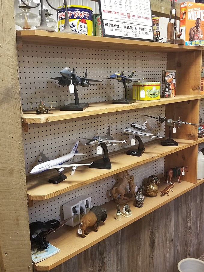 Aviation enthusiasts, prepare for takeoff! These model aircraft stand ready to inspire daydreams of blue skies and distant horizons.