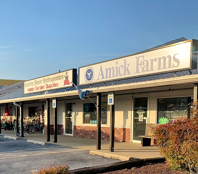 From hydroponics to farm supplies, the market's exterior shops cater to Delaware's agricultural roots while embracing modern growing techniques.