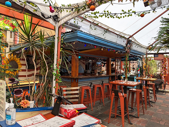 Outdoor seating that feels like your coolest friend's secret garden party, complete with string lights and urban charm.