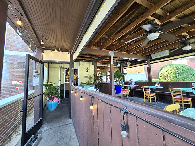 The covered patio entrance, strung with twinkling lights, offers a magical transition from MacArthur Avenue into Dot's welcoming embrace.