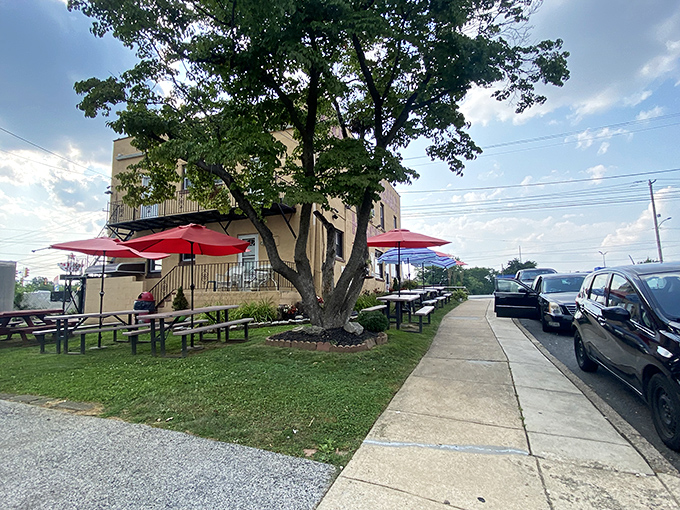 Outdoor seating under red umbrellas where cheesesteak dreams come true. The perfect spot to contemplate life's big questions between bites.