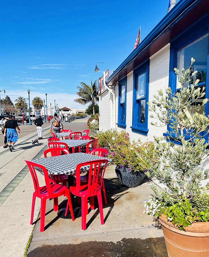 Red chairs pop against blue-trimmed windows, creating sidewalk seating that feels like the California dream sequence in a feel-good movie.