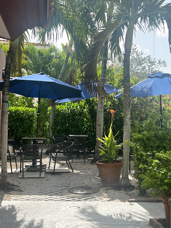 Miami's verdant beauty surrounds the outdoor seating area, where palm trees provide shade and blue umbrellas add pops of color to alfresco dining.