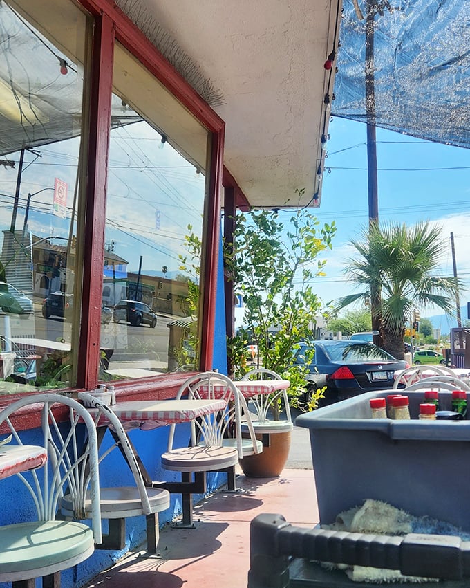 The outdoor seating area offers prime Tucson people-watching with a side of sunshine, where desert breezes complement every bite.