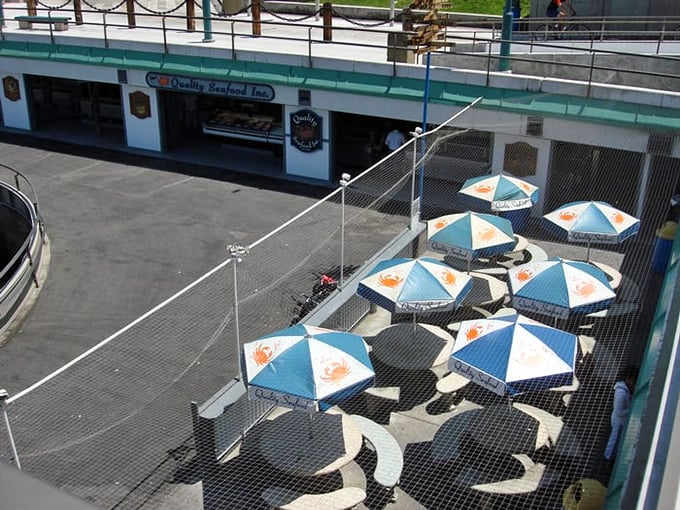 The outdoor seating area offers protection from aggressive seagulls while providing the perfect perch for people-watching between bites.