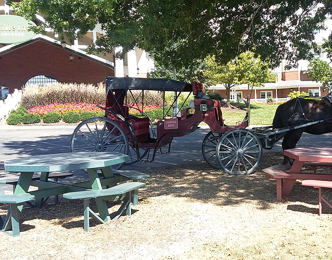 Outside, Amish buggies remind you you're in a special place where traditions matter, including the tradition of taking time to enjoy a proper meal.