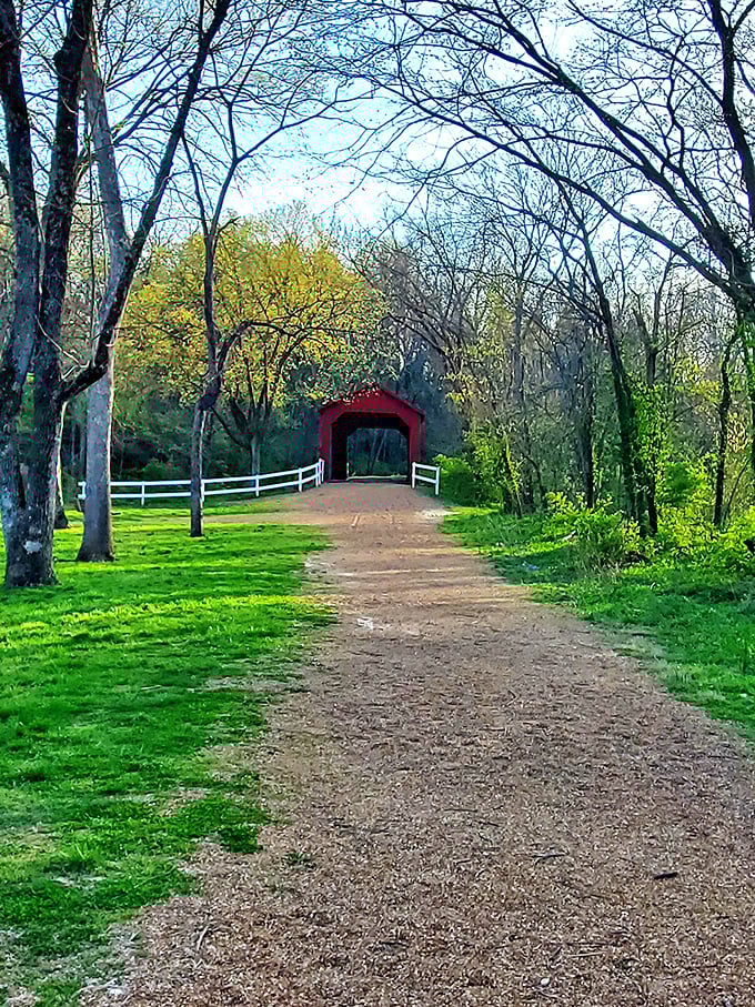 Spring brings an explosion of green surrounding the distant red bridge, framing it like a painting waiting to be discovered.