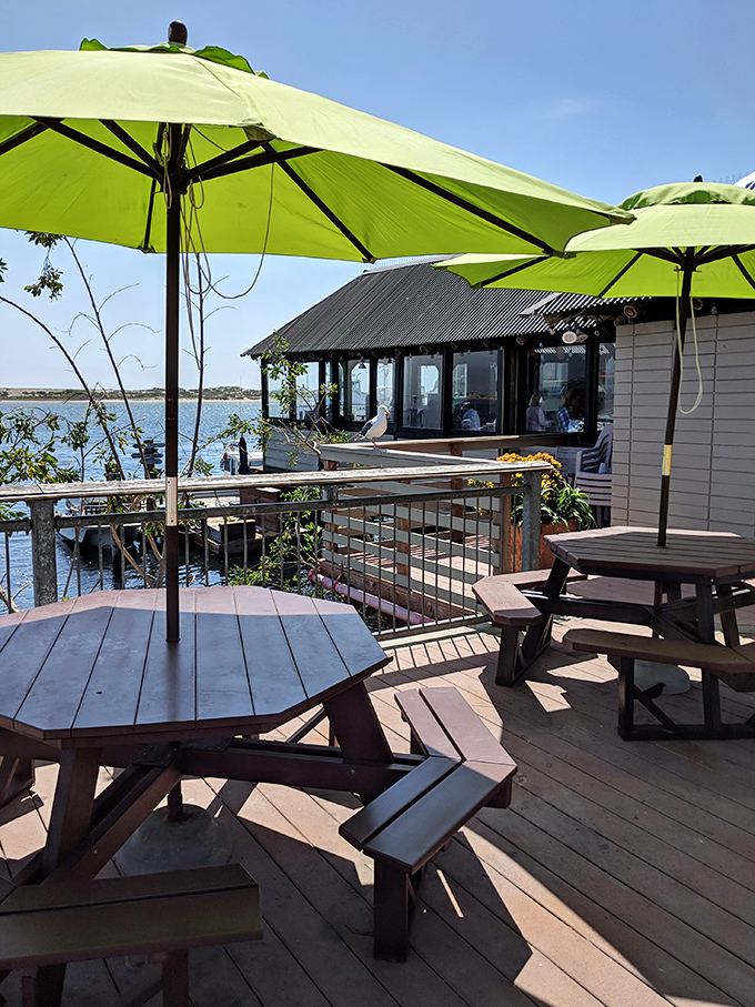 Lime-green umbrellas pop against the blue harbor waters, creating an outdoor dining space that's worth the wait even on the busiest summer days.