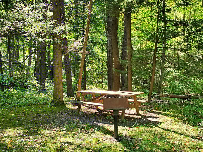 This sun-dappled picnic spot practically begs for a sandwich and a good book. Social distancing before it was mandatory.