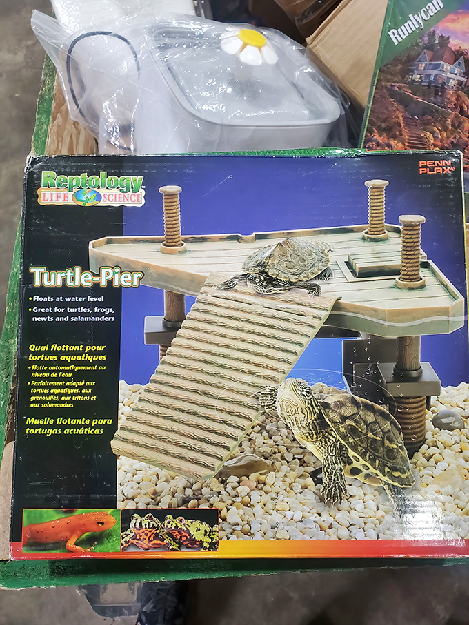 Even reptiles deserve luxury! This turtle pier offers aquatic pets their own private resort experience, complete with sunbathing deck and easy water access.