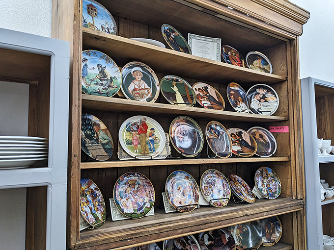 Collector plates that once graced curio cabinets across America, now assembled like a museum of middle-class aspirations.