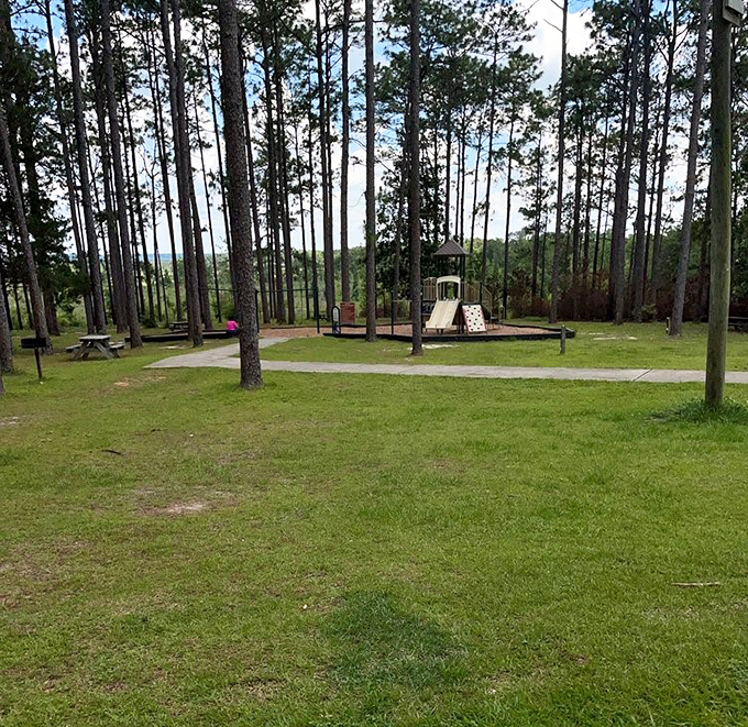 Even paradise needs a playground. Kids can swing and climb while parents appreciate the rarest of Florida treasures&mdash;actual elevation changes.