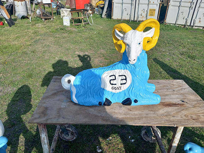The famous blue ram #23 returns for an encore appearance. With golden horns and a serene expression, it's the GOAT of roadside attractions.