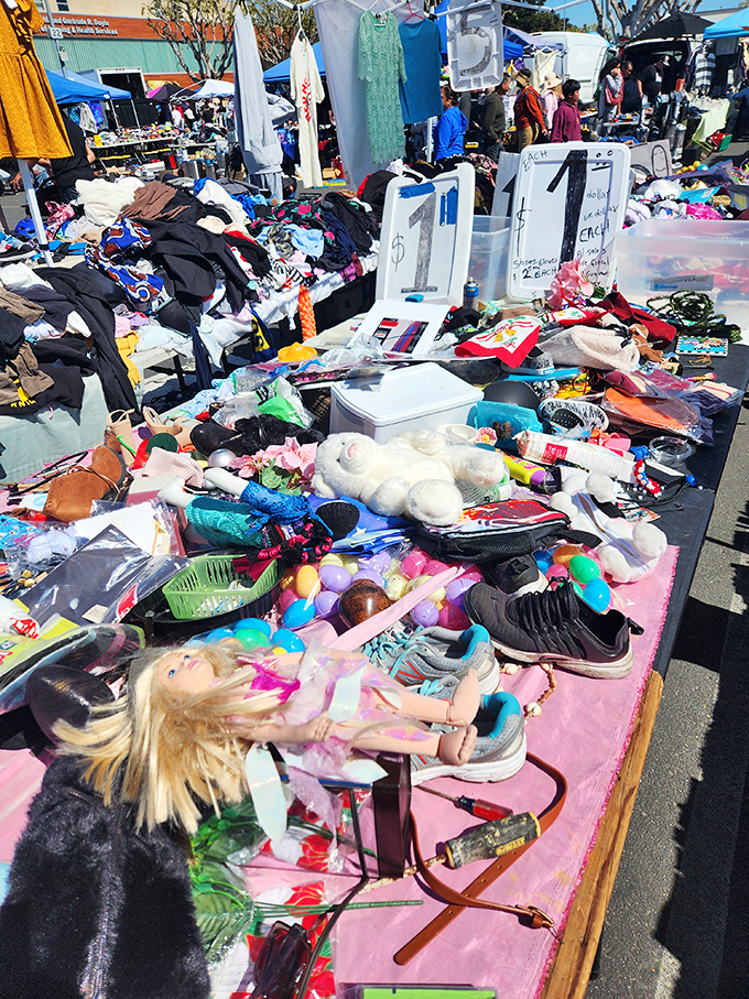 Organized chaos or chaotic organization? This colorful jumble of childhood memories and practical items defies categorization but demands exploration.