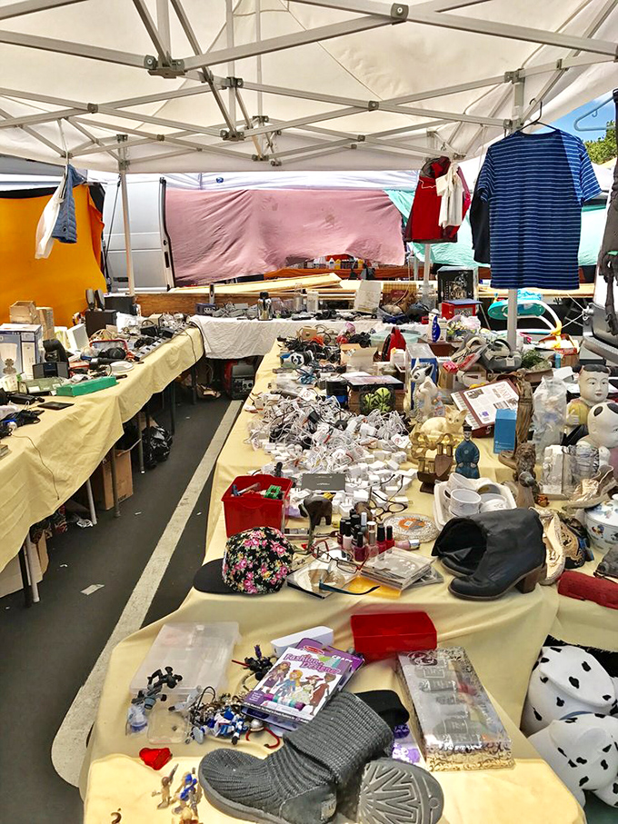 Organized chaos at its finest! One person's random collection is another's perfect find in this treasure trove of possibilities.