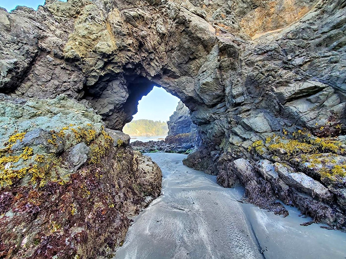 Nature's perfect archway frames the distant shoreline, proving once again that the best architect on the California coast doesn't charge by the hour.