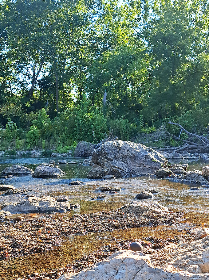 Low water reveals the creek's skeleton, showcasing the patient artistry of water over stone. Nature's sculpture garden is always open.