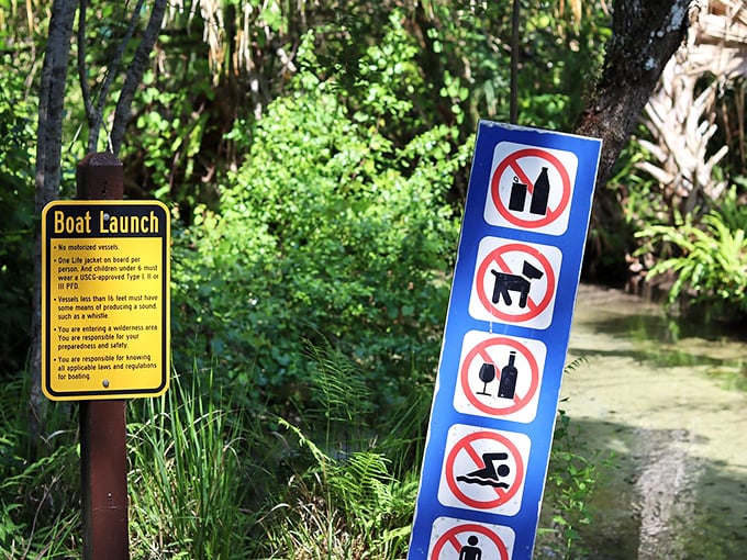Nature's rules are simple at Juniper Springs: no alcohol, no pets, no swimming in certain areas, and absolutely no messing with the alligators.