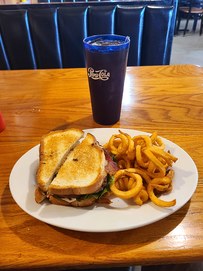 The sandwich-onion ring alliance is proof that world peace is possible. That golden spiral of fried onion is practically winking at you.