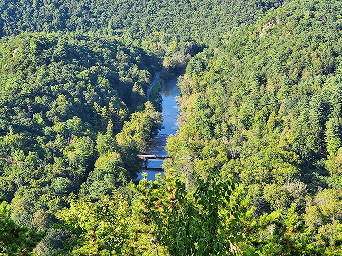 The river below carves its ancient path through the forest. From this height, you can almost hear the water's whispered geological stories.