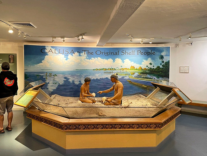 The museum honors the indigenous Calusa people, "The Shell People," who ingeniously used shells for tools, structures, and ceremonial purposes.