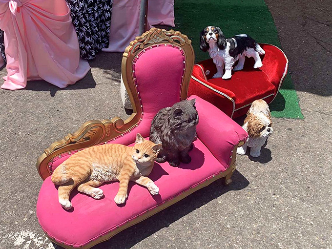 Not your average pet store! These lifelike companions enjoy the luxury of vintage furniture without any feeding or walking required.