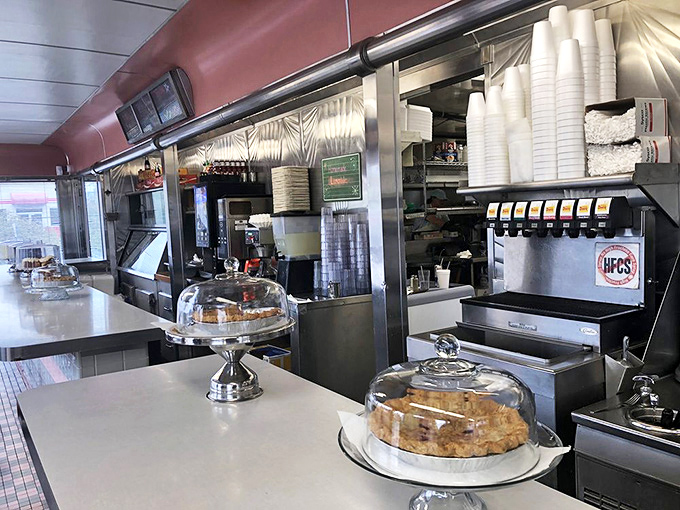 Behind glass domes, pies wait patiently for their moment of glory, knowing their homemade goodness will soon be the highlight of someone's day.