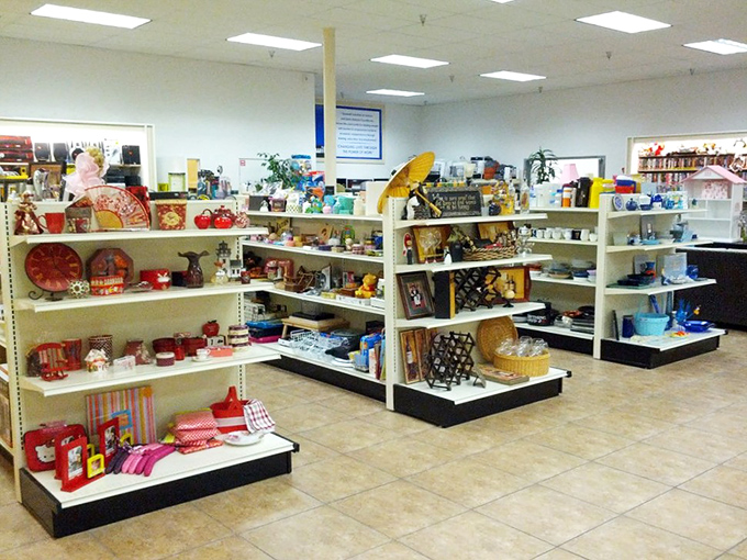 Organized shelves transform donated household items into carefully curated collections of domestic treasures.