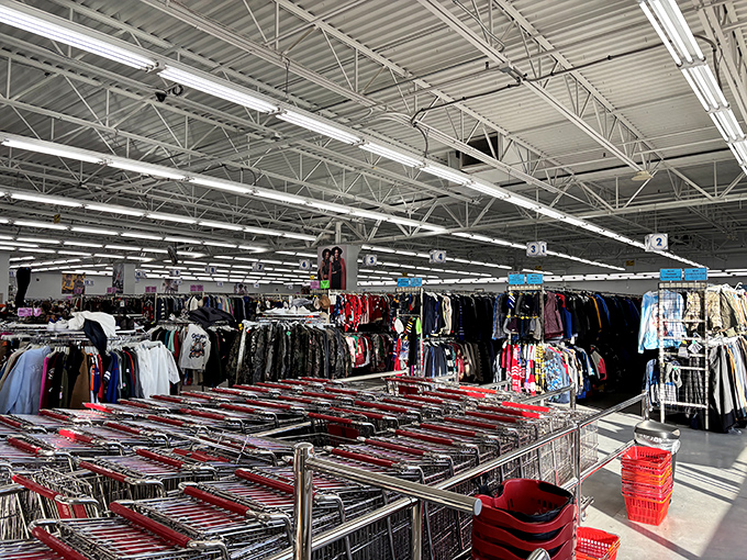 Shopping cart central station &ndash; the staging ground for thrift store victories. Each metal basket awaits its chance to carry someone's $25 trunk-filling haul.