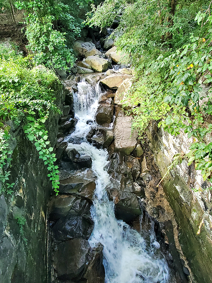 Water finding its path of least resistance &ndash; a life philosophy worth adopting, especially when navigating holiday dinner conversations.