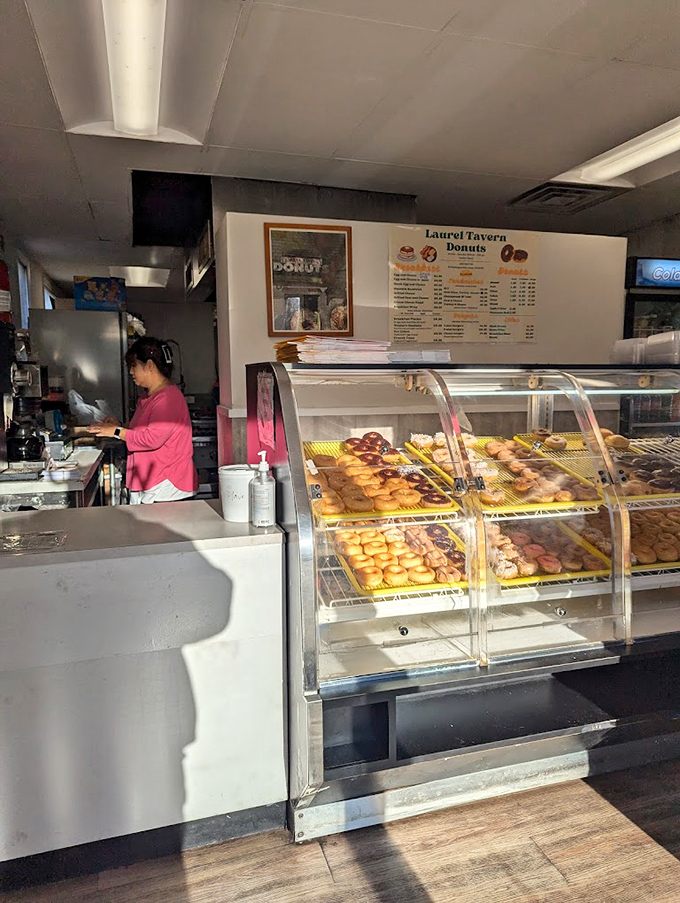 Behind the curved glass, trays of freshly made donuts await their destiny&mdash;to disappear into paper bags and create moments of unexpected joy.