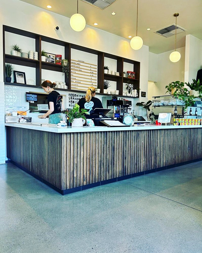 Behind every great pizzeria is a team that moves with the choreographed precision of people who genuinely care about what lands on your plate.