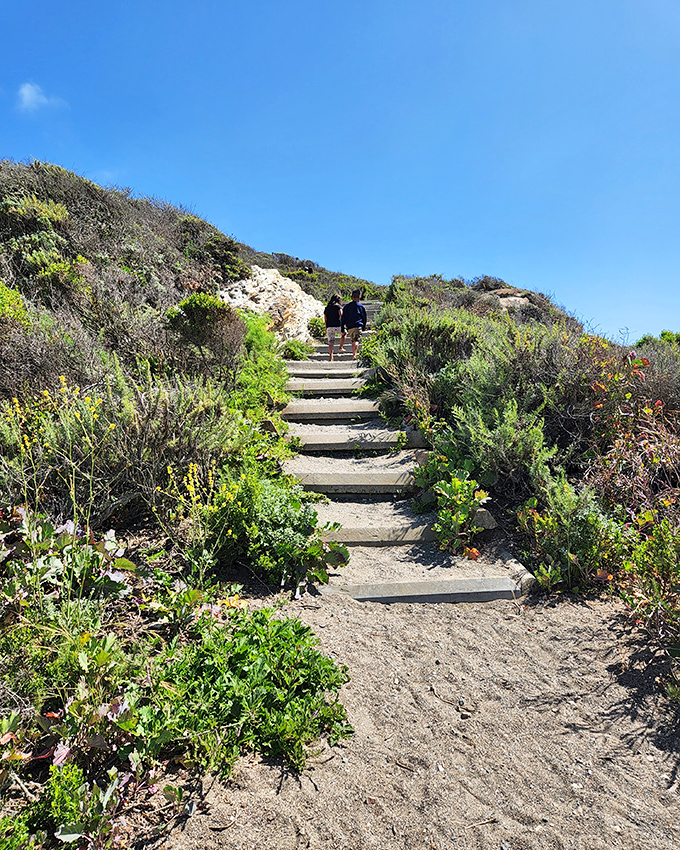 Stairway to heaven, California-style. These steps through coastal vegetation lead hikers to views that make the climb instantly worthwhile.