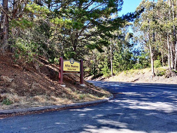 The entrance sign that promises wilderness adventures just beyond – like the opening credits to nature's greatest show.