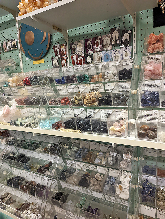 A treasure trove of crystals and gemstones organized with scientific precision, where spiritual seekers and collectors find common ground.